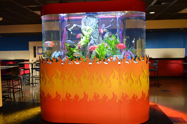 The Tanks of Tanked | Tanked | Animal Planet The Tanks of Tanked | Tanked | Animal Planet