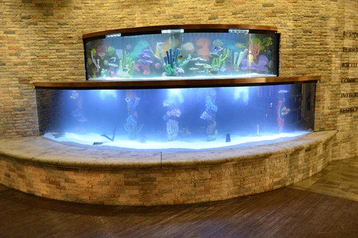 The Tanks of Tanked | Tanked | Animal Planet The Tanks of Tanked | Tanked | Animal Planet