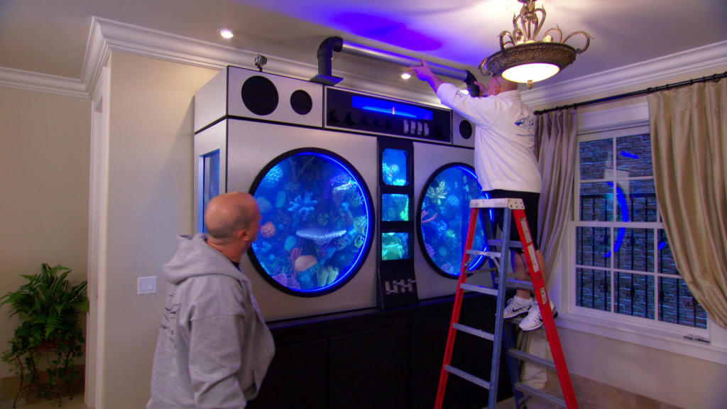 Jimmy Butler Gets Tanked | Tanked | Animal Planet Jimmy Butler Gets Tanked | Tanked | Animal Planet