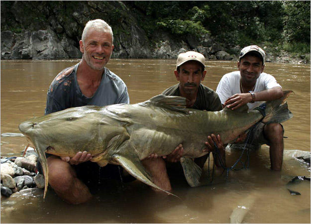 Goonch Catfish Photos | River Monsters | Animal Planet