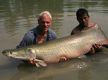 Arapaima | River Monsters | Animal Planet