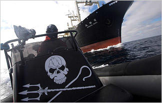 Whale Wars How do anti-whaling groups differ from one another? | Whale ...