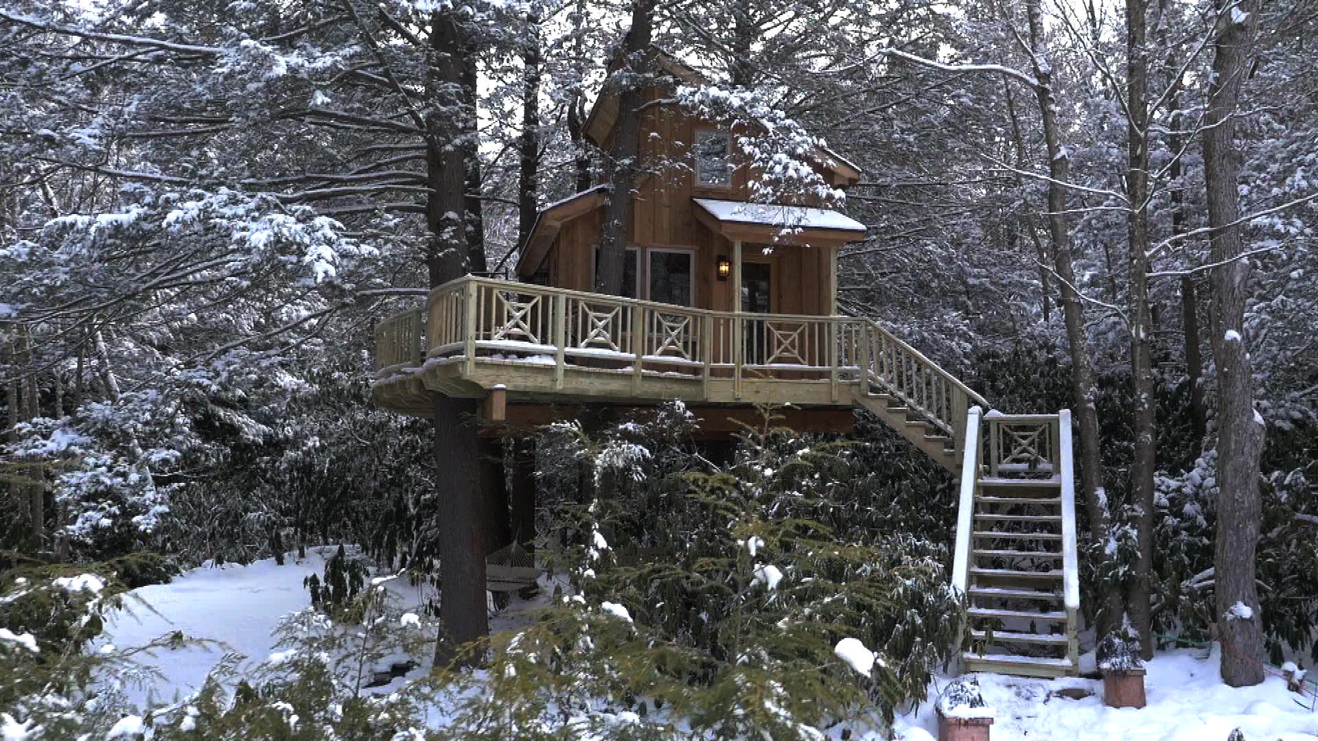 Ultimate Giveaway Treehouse | Treehouse Masters | Animal Planet