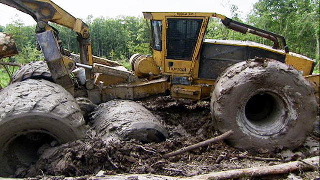 Swamp Loggers ~ Complete Wiki | Ratings | Photos | Videos | Cast