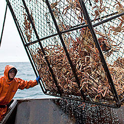 How Crab Pots Work | Deadliest Catch | Discovery