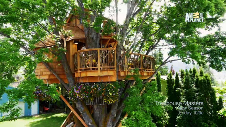 Living in the Trees on Pinterest | Tree Houses, Treehouse and Treehouses