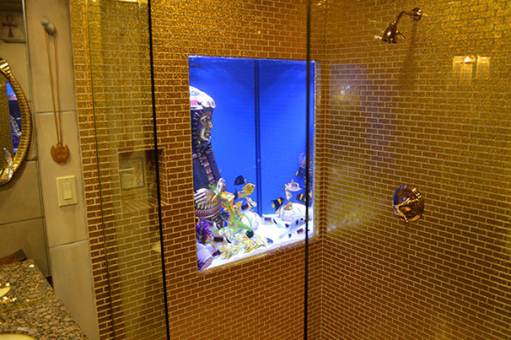 The Tanks of Tanked | Tanked | Animal Planet