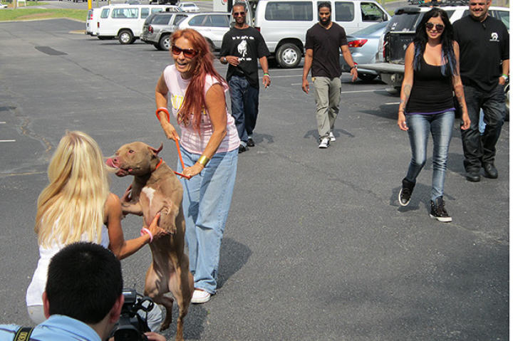 Scenes from Season 4 | Pit Bulls and Parolees | Animal Planet