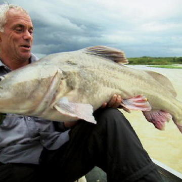 Huge Nile Catfish | River Monsters | Animal Planet