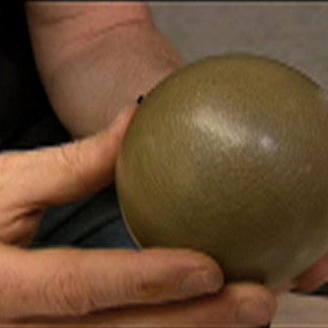 Polishing a Turd MiniMyth | MythBusters | Discovery