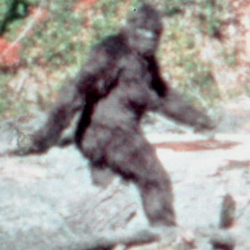 An Unsolved Mystery Since 1959: The Dyatlov Pass Incident | Russian ...