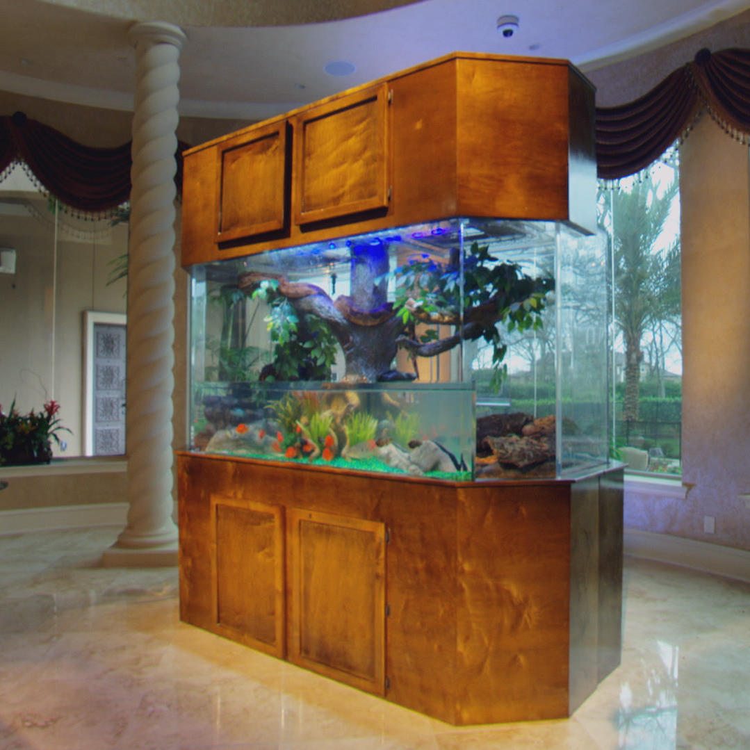 Meltdown at ATM | Tanked | Animal Planet