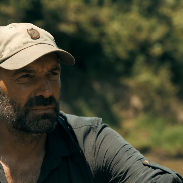 Wild Animals | Animal Planet