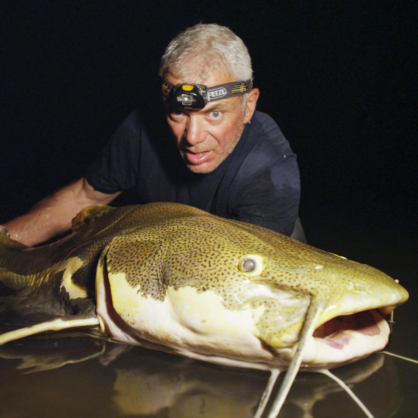 Monster Banana Catfish Caught at Night | River Monsters | Animal Planet
