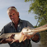 Lamprey Pictures | River Monsters | Animal Planet