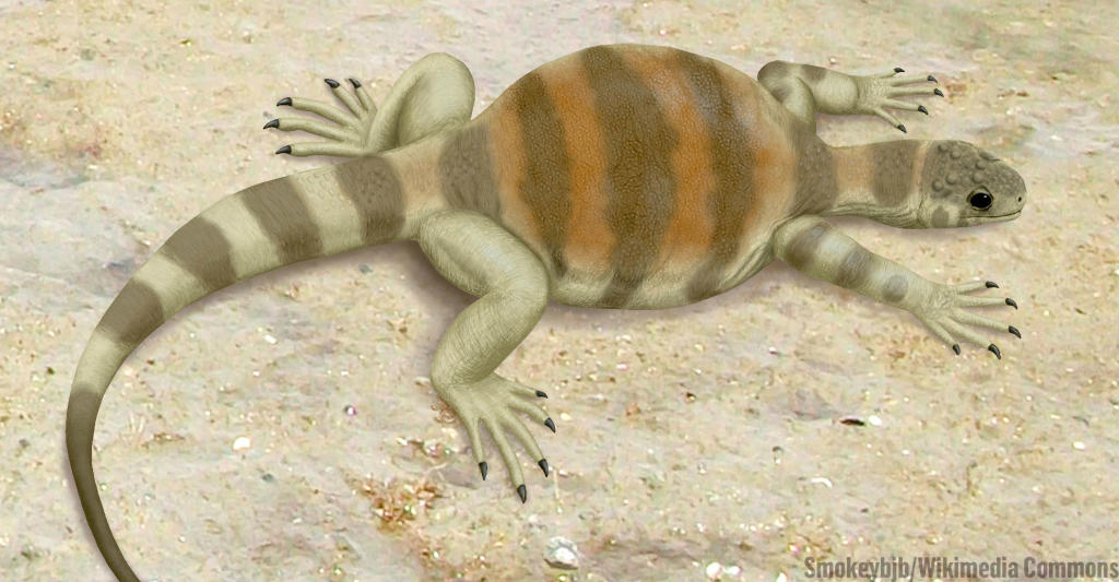 Shell-less Turtle Ancestor Linked to Birds & Crocodiles | Discovery ...