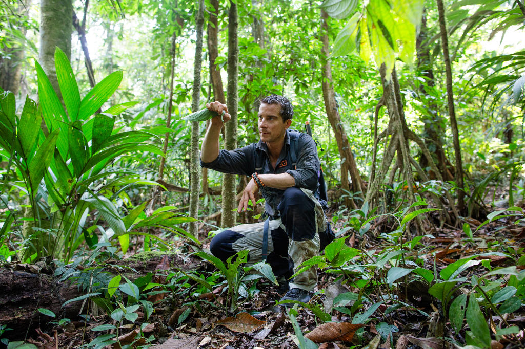 Bear Grylls: Jungle Survival Quiz | Bear Grylls: Escape From Hell ...