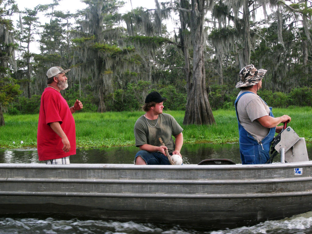Swamp’d | Animal Planet