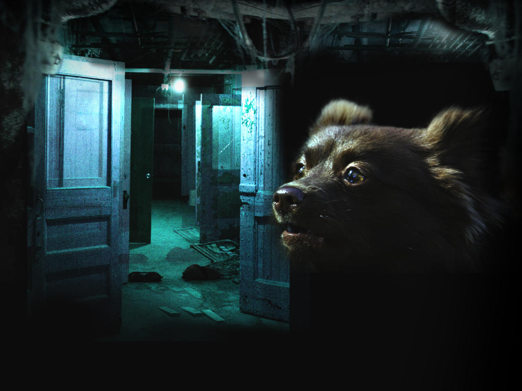 the-haunted | Animal Planet