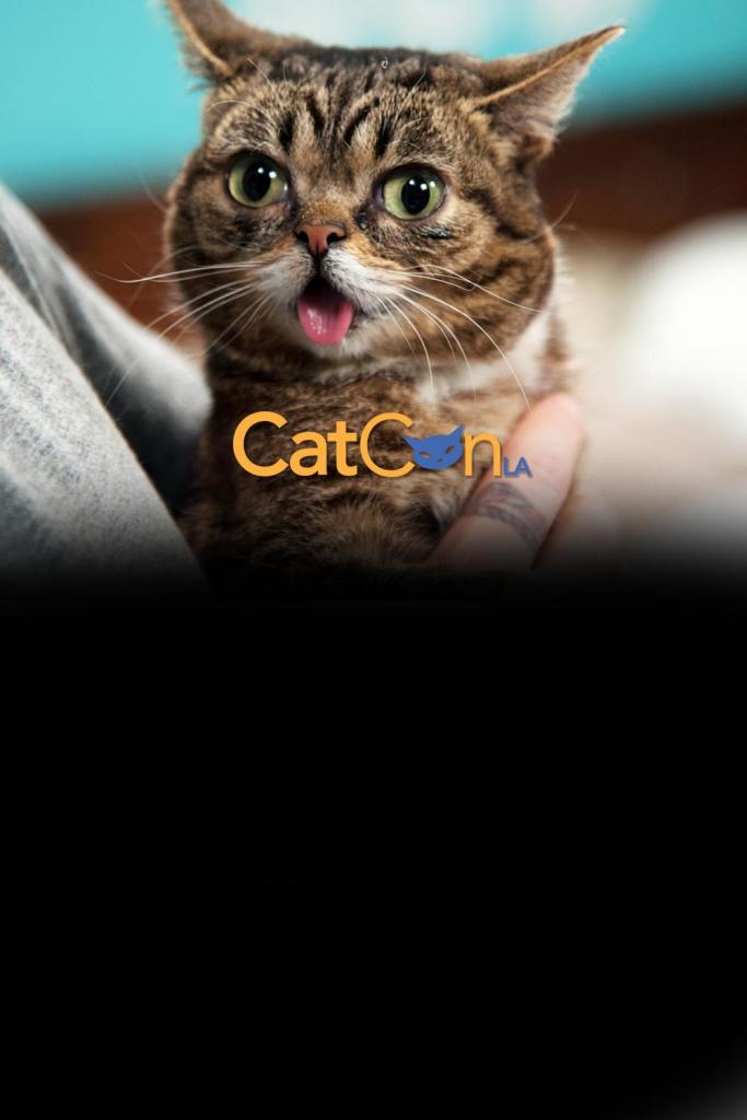 CatConLA | CatCon | Animal Planet