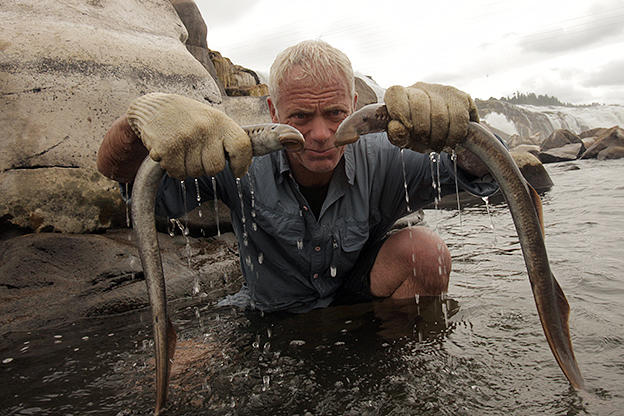 Lamprey Pictures | River Monsters | Animal Planet