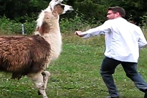 Bad Dog Pictures | Bad Dog | Animal Planet