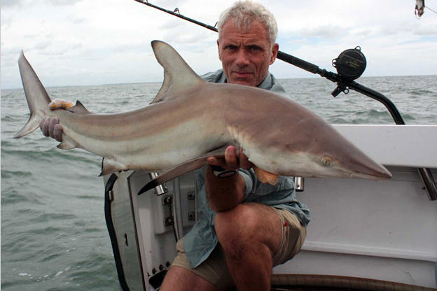 Bull Shark Photos, Queensland Grouper | River Monsters | Animal Planet