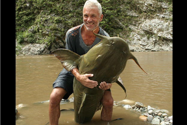 Goonch Catfish Photos | River Monsters | Animal Planet
