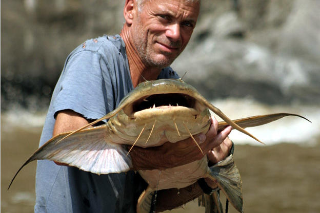 Goonch Catfish Photos | River Monsters | Animal Planet