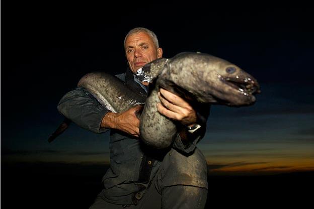 New Zealand Longfin Eel Pictures | River Monsters | Animal Planet