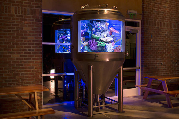 The Tanks of Tanked | Tanked | Animal Planet